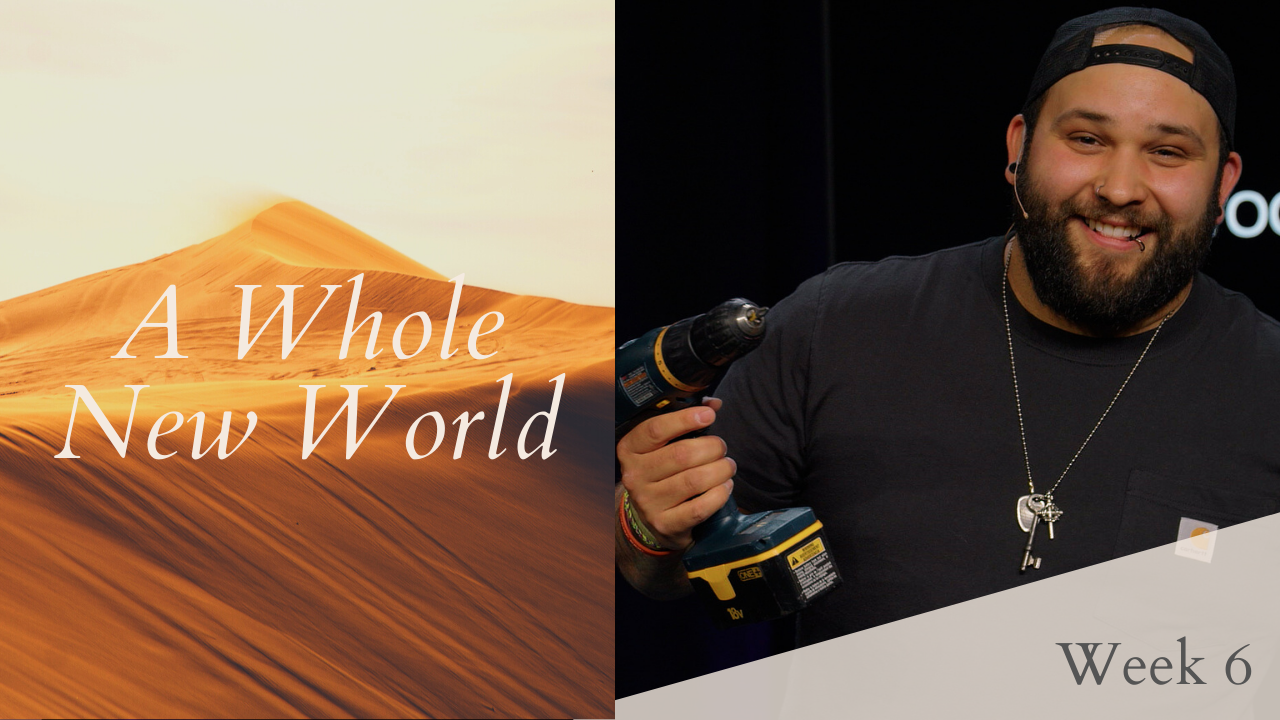 A Whole New World - New Tactic - Mile City